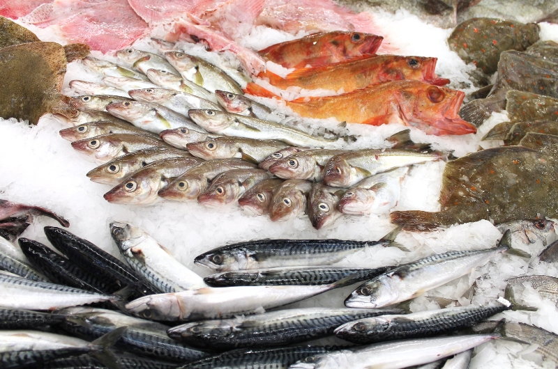 Pescados y mariscos en verano: Cómo aprovechar sus beneficios